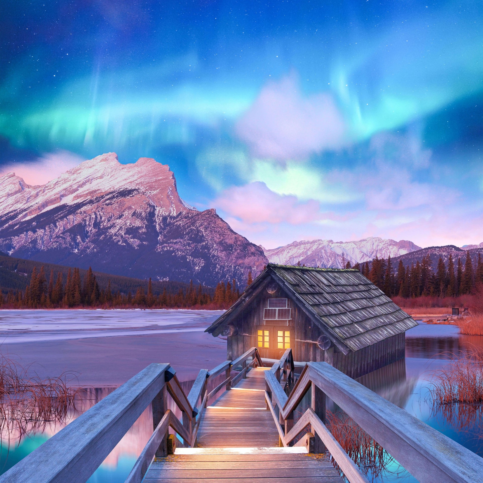 You can find the latest wallpapers here for FREE